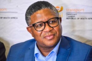 Fikile Mbalula Biography: Age, Qualifications, Wife, Net Worth - Naija ...
